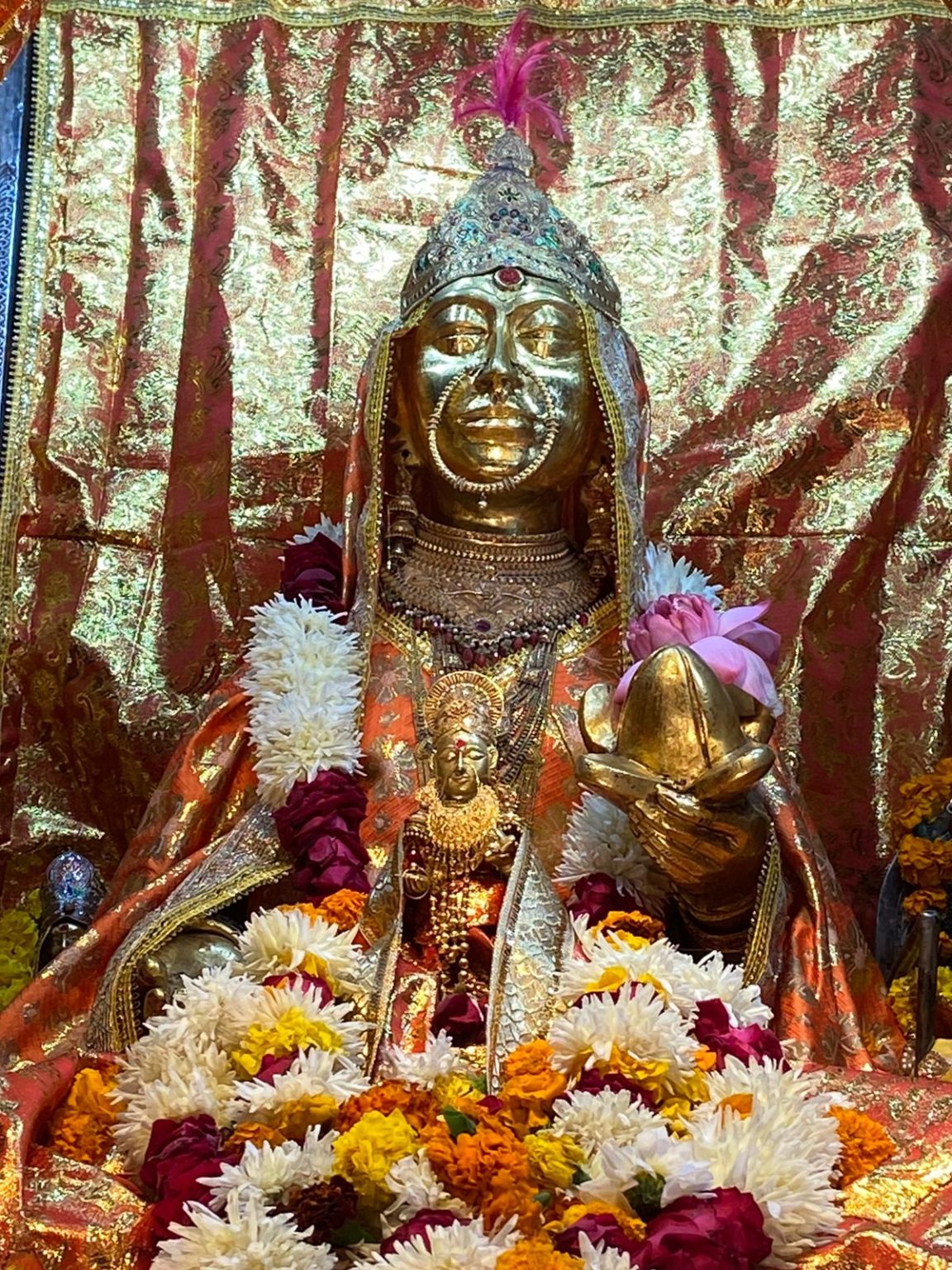 Home - SHRI MATA SHEETLA DEVI SHRINE BOARD